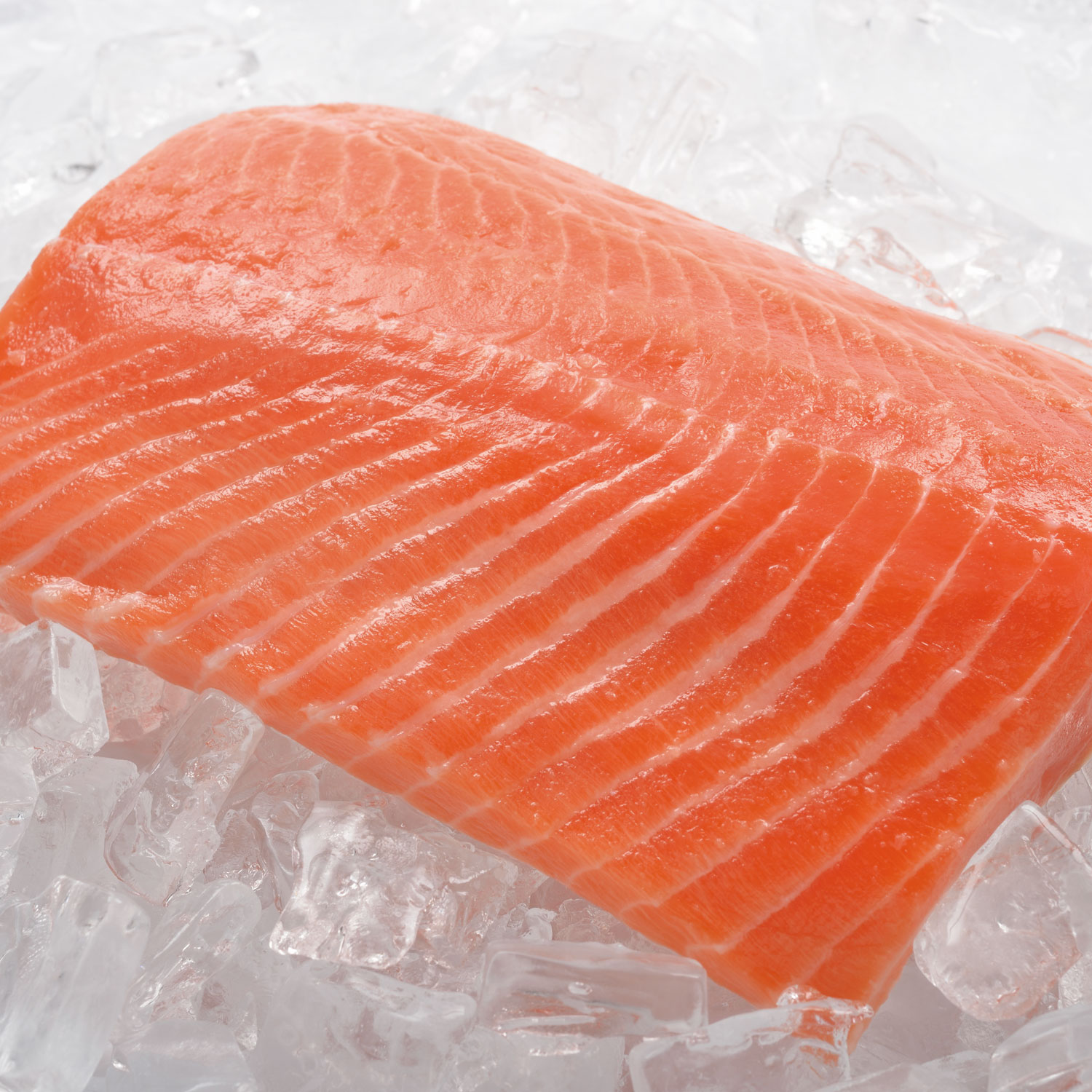 TrueFish – echter Fischgenuss mit bestem Gewissen.