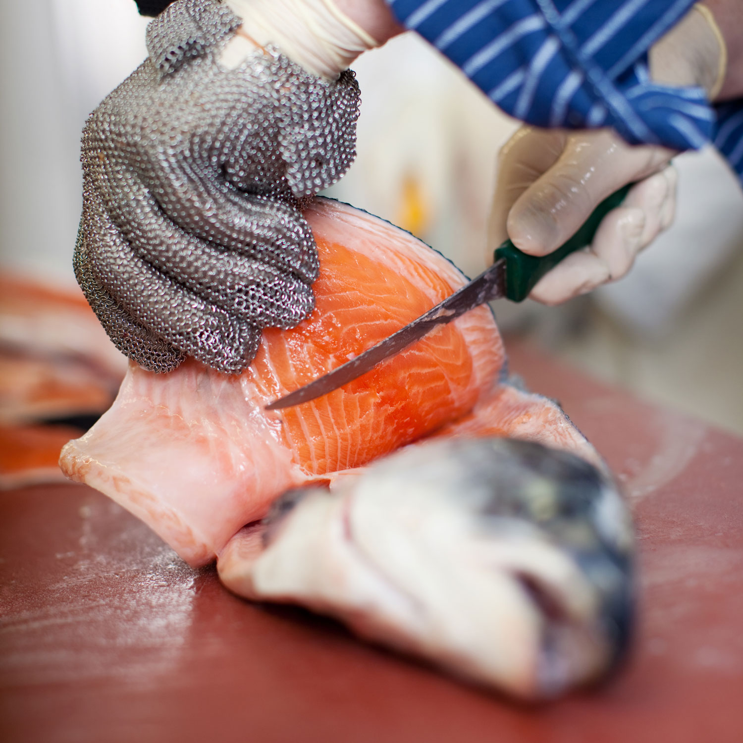 TrueFish – echter Fischgenuss mit bestem Gewissen.