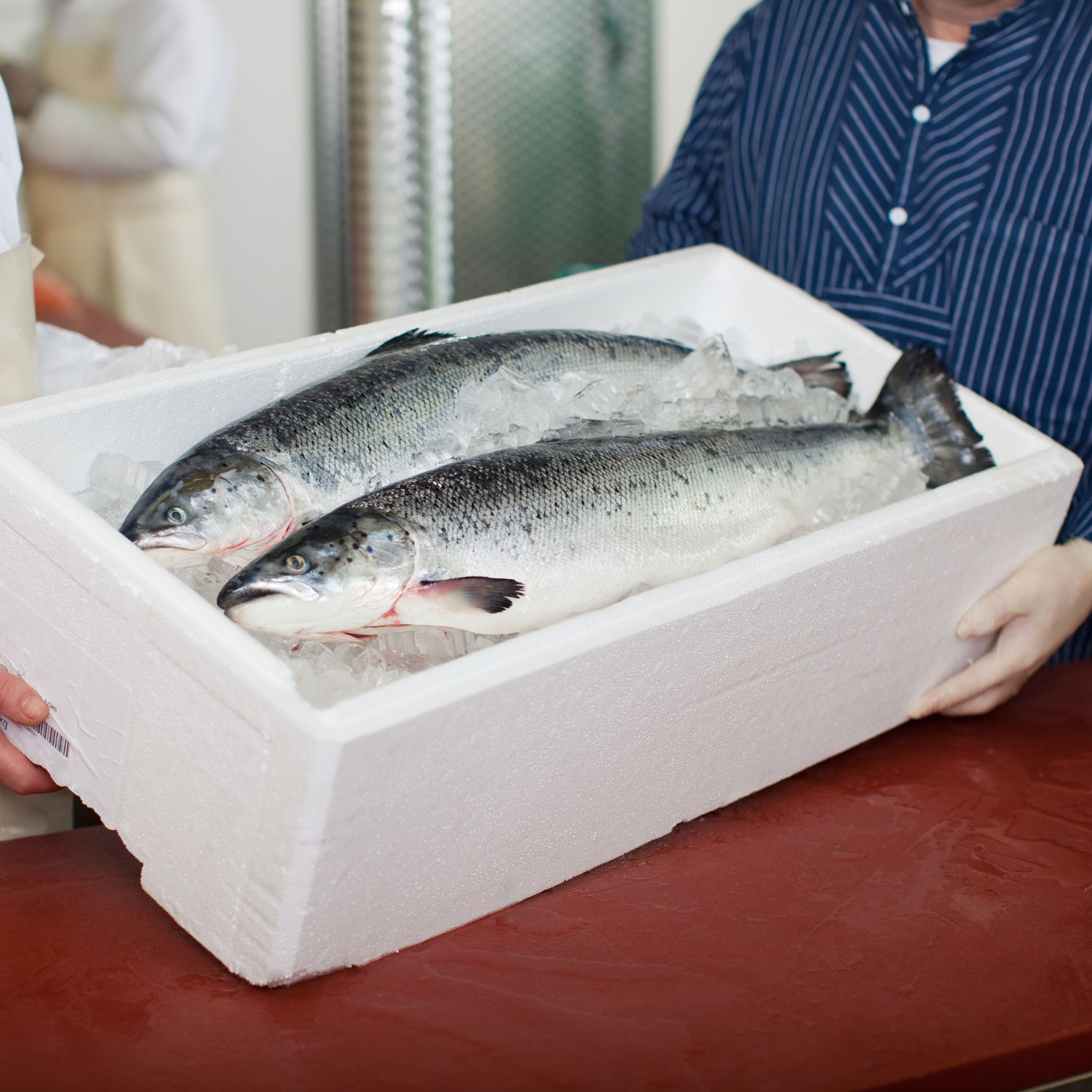 TrueFish – echter Fischgenuss mit bestem Gewissen.