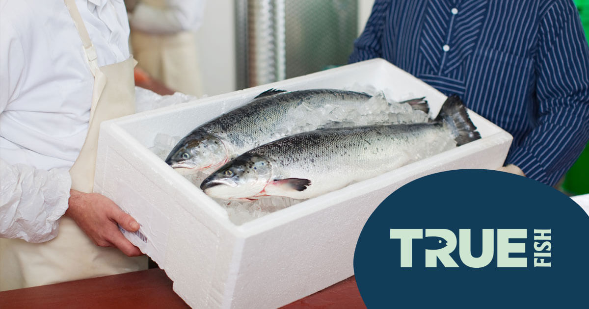 TrueFish – echter Fischgenuss mit bestem Gewissen.